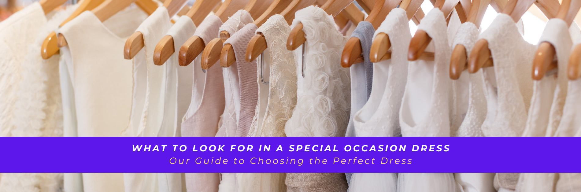 What to Look for in a Special Occasion Dress – A Complete Guide ...