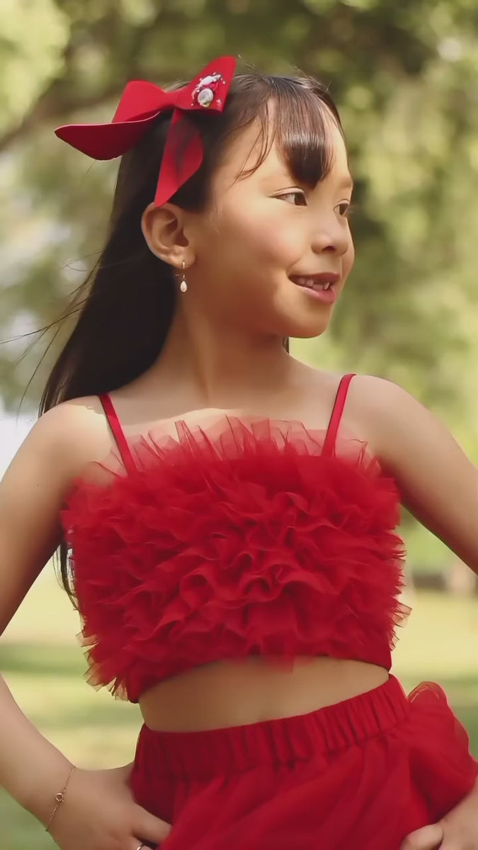 Girls Ruby Red Ruffle Layered Tulle Top Skirt 2 Piece Set, 12M-14 ...