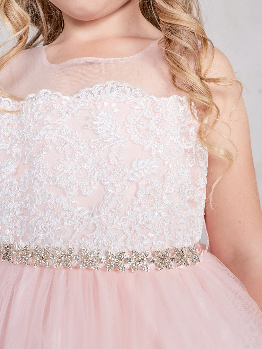 Little Girls Blush Illusion Neck Lace Tulle Overlay Flower Girl Dress ...